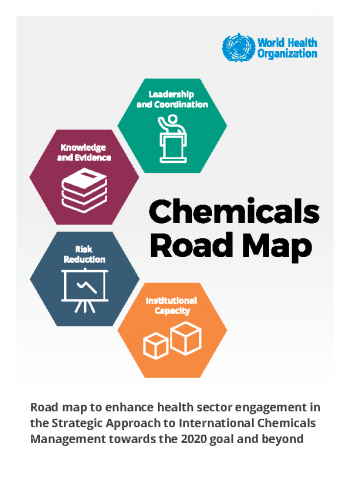 Case studies on the implementation of the WHO Chemicals Road Map ...